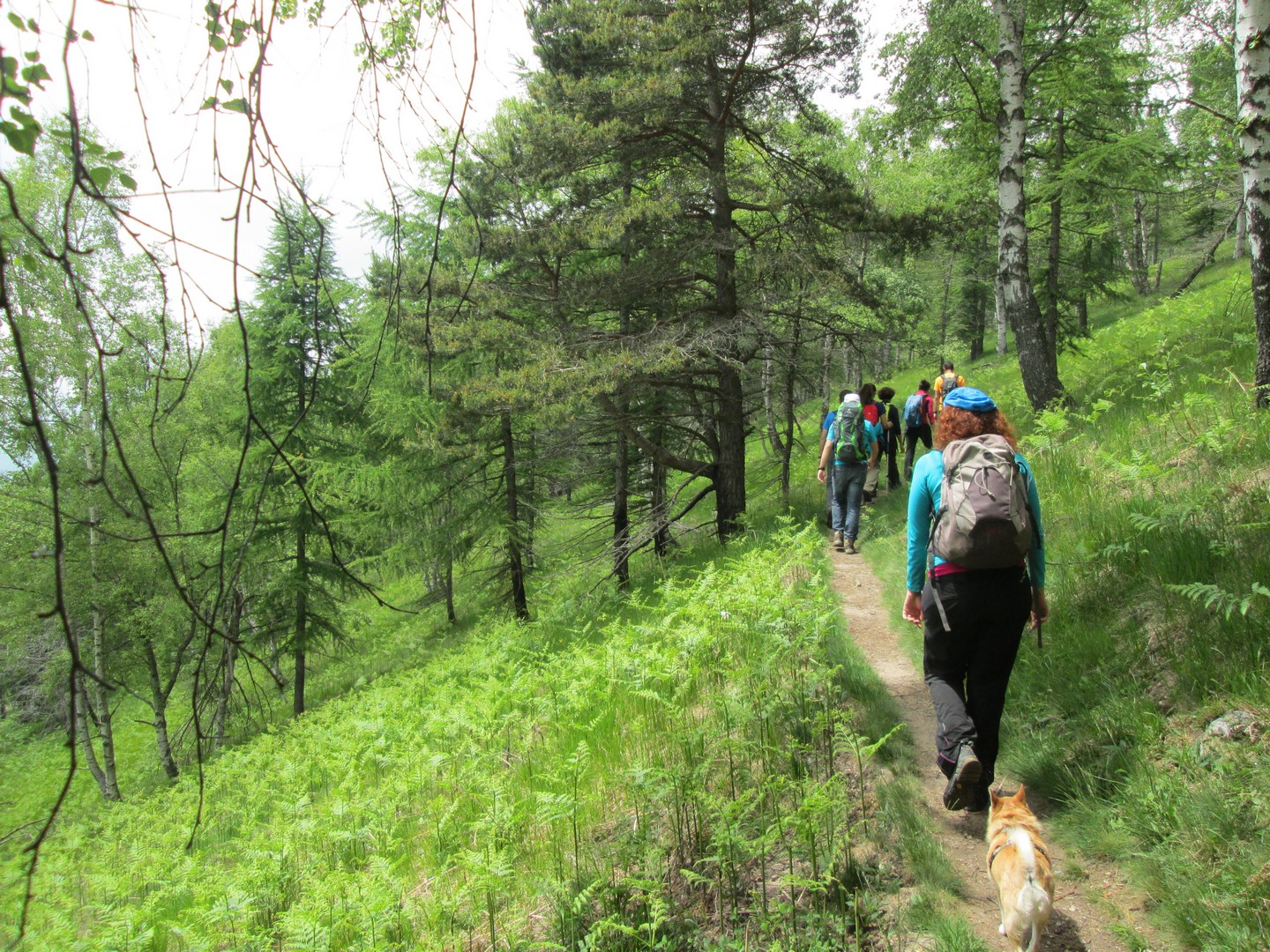 Una giornata in cammino sull' Anello del Roc del Gias con Marco ...